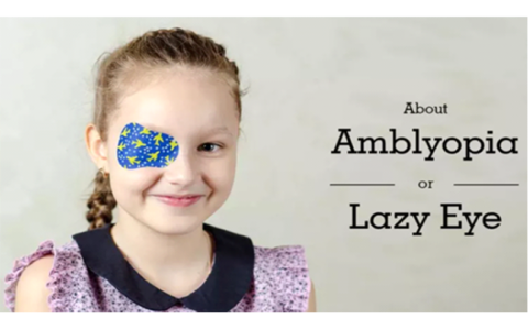 Dichoptic Treatment: A virtual game in amblyopia treatment - Vision ...