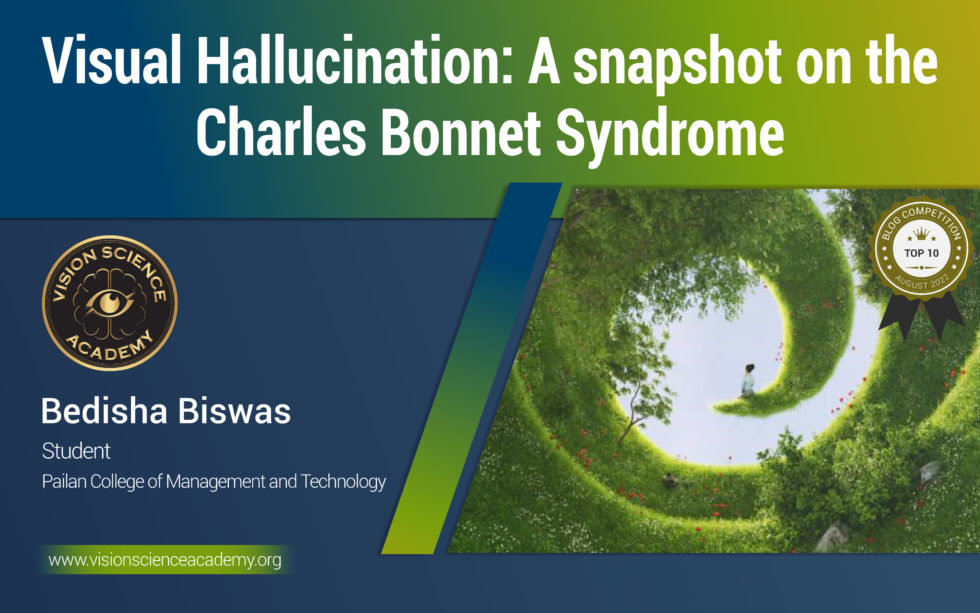 Visual Hallucination: A Snapshot on the Charles Bonnet Syndrome ...