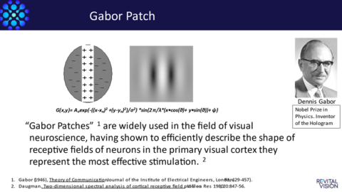 The Challenges and Emerging Vision Therapy for Management of Amblyopia in Adults (18 years or ...