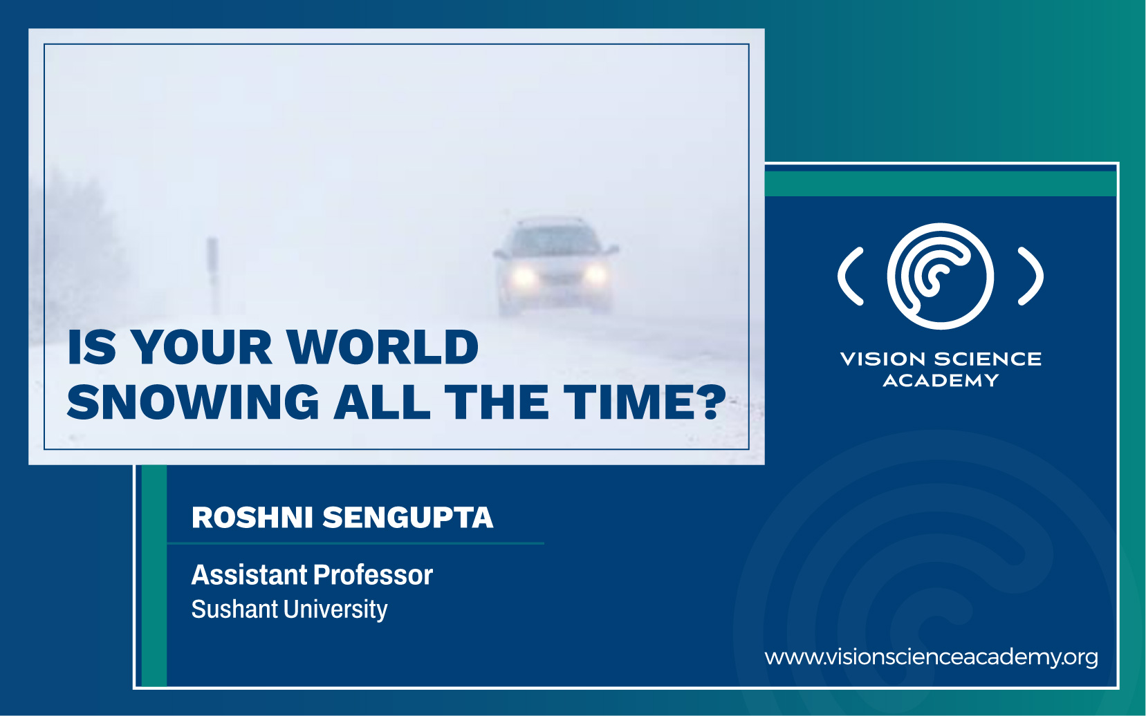 Is Your World Snowing All the Time? - Vision Science Academy