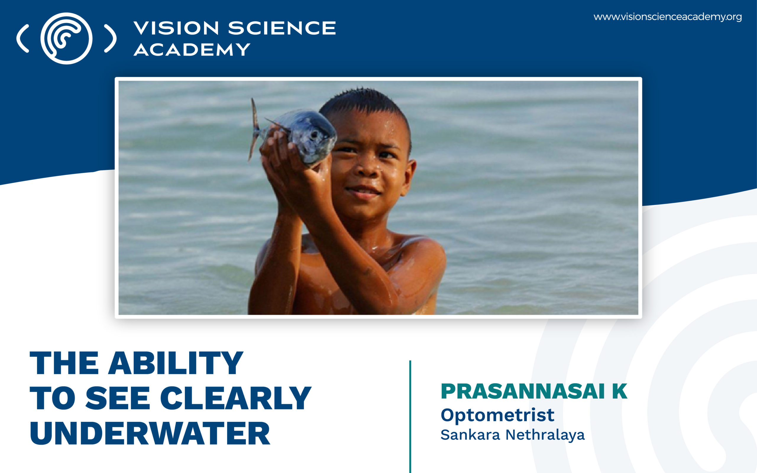 The Ability to See Clearly Underwater - Vision Science Academy