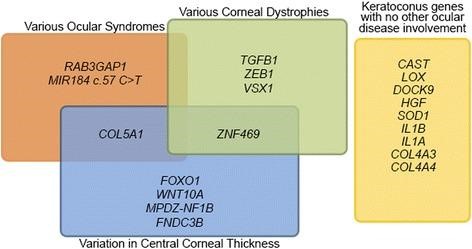Beyond The Cornea: The Complex Interplay of Genetics and Environment in ...