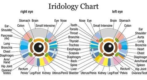 Iridology: Is This A Diagnostic Tool For Pre-Disease State? - Vision Science Academy