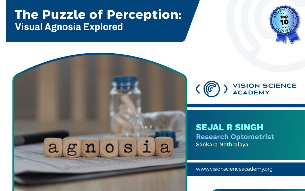 The Puzzle of Perception: Visual Agnosia Explored - Vision Science Academy