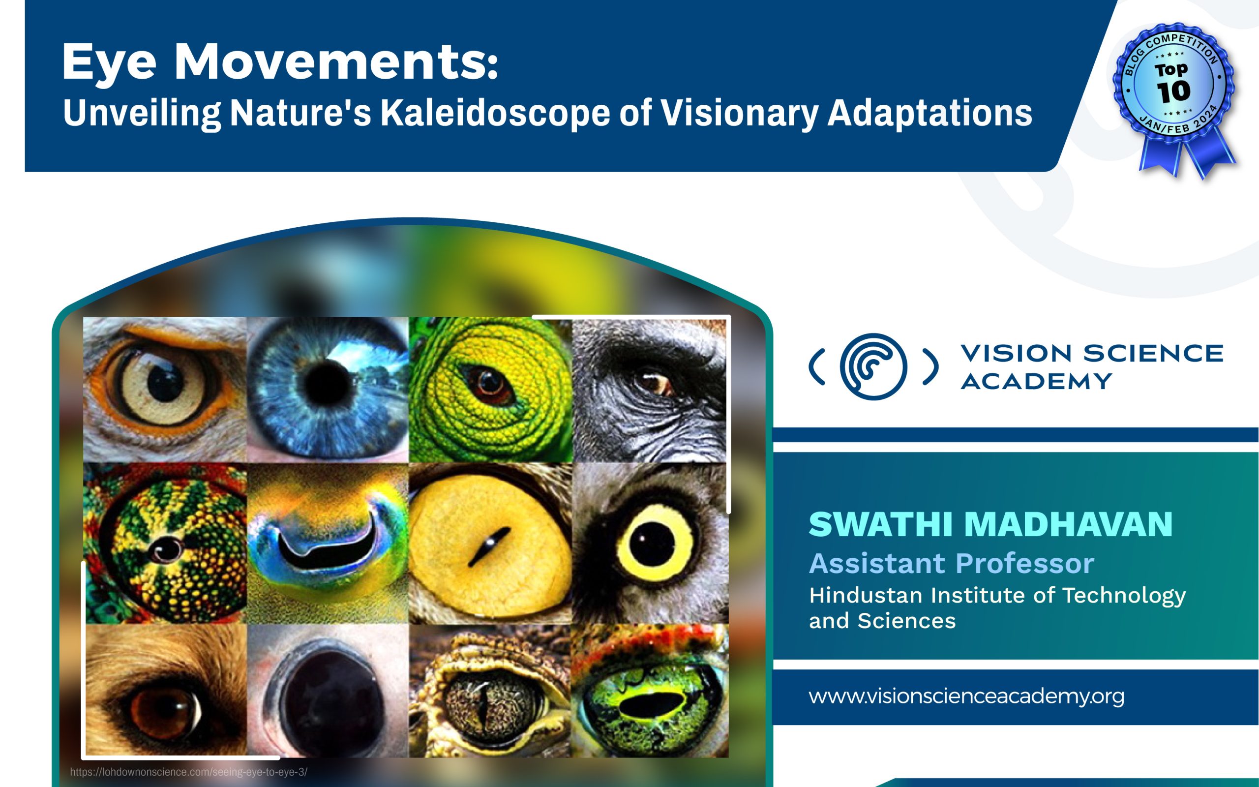 Eye Movements: Unveiling Nature's Kaleidoscope of Visionary Adaptations ...